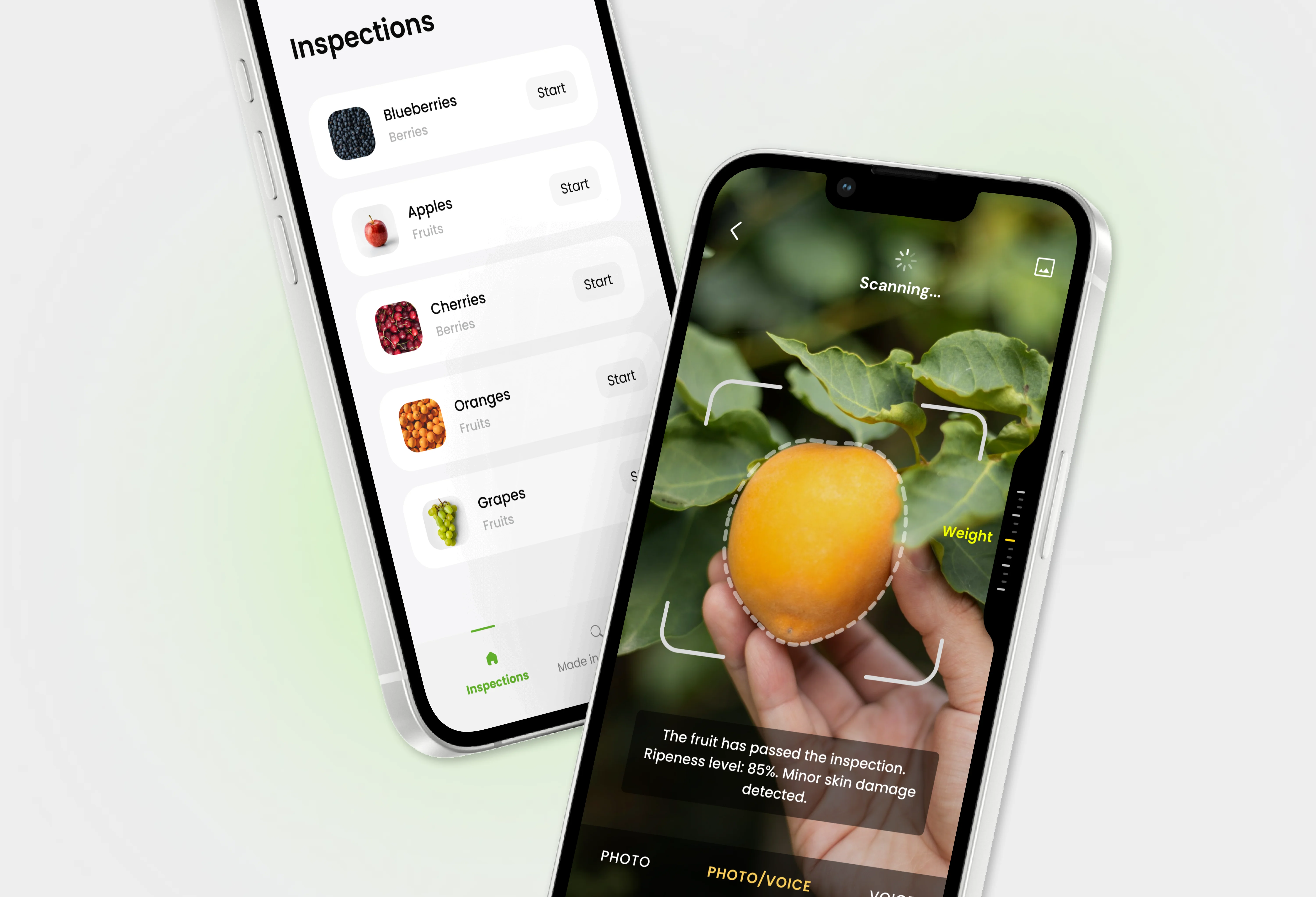 AI App for Faster Produce Quality Inspection | SapientPro